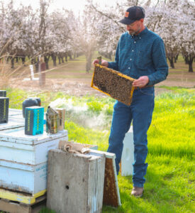 About Us – California State Beekeepers