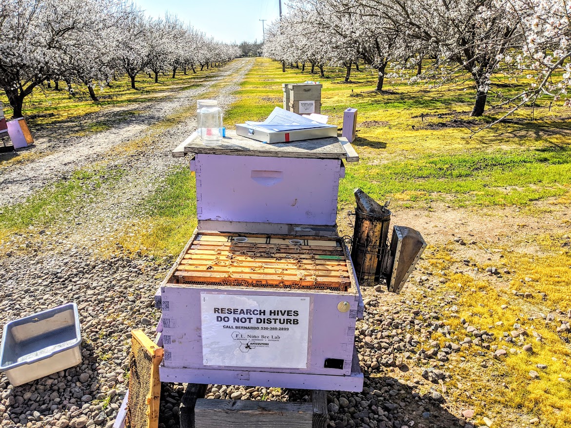 Issue Research – California State Beekeepers